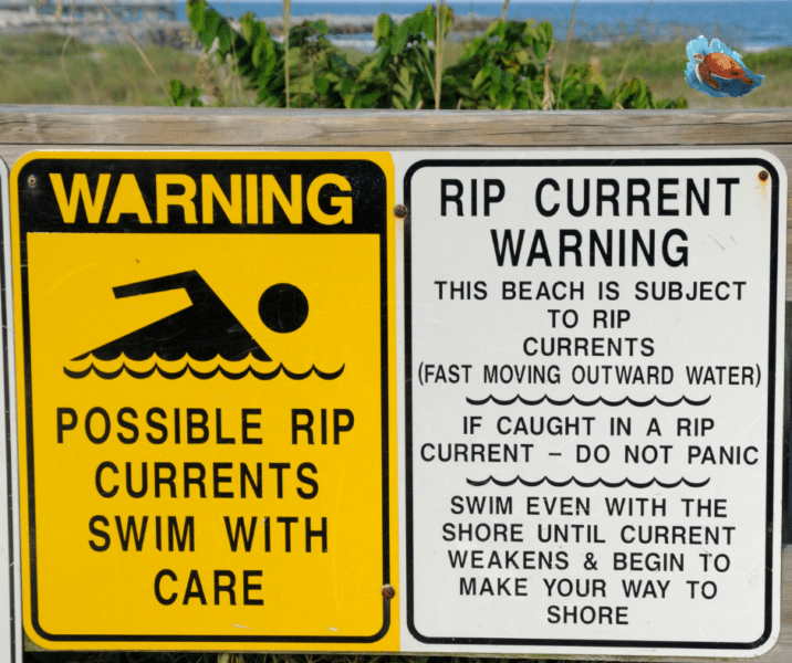Florida Rip Currents